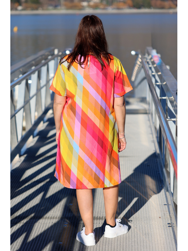 Elm Rena Dress - Preen Clothing